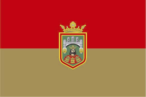 La bandera de Castilla y León: Significado origen y banderas provinciales